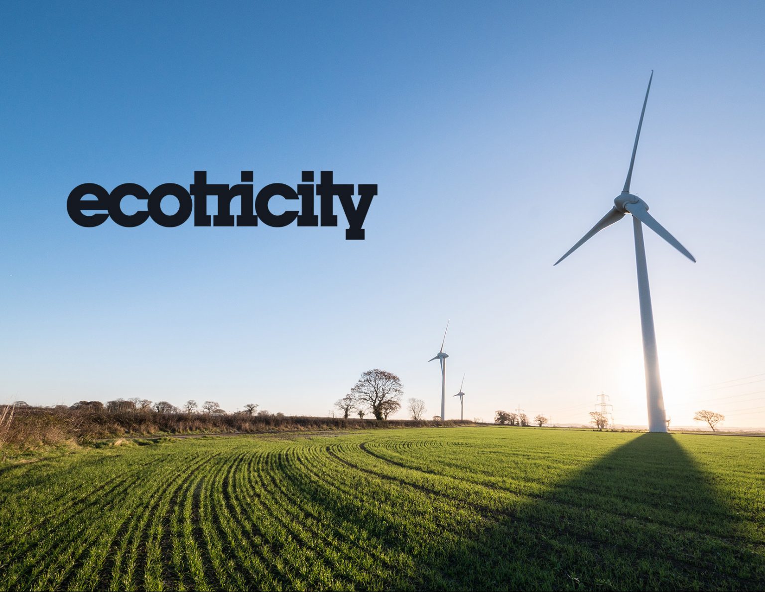 Meet iiE's new partner: Ecotricity | Investors in the Environment